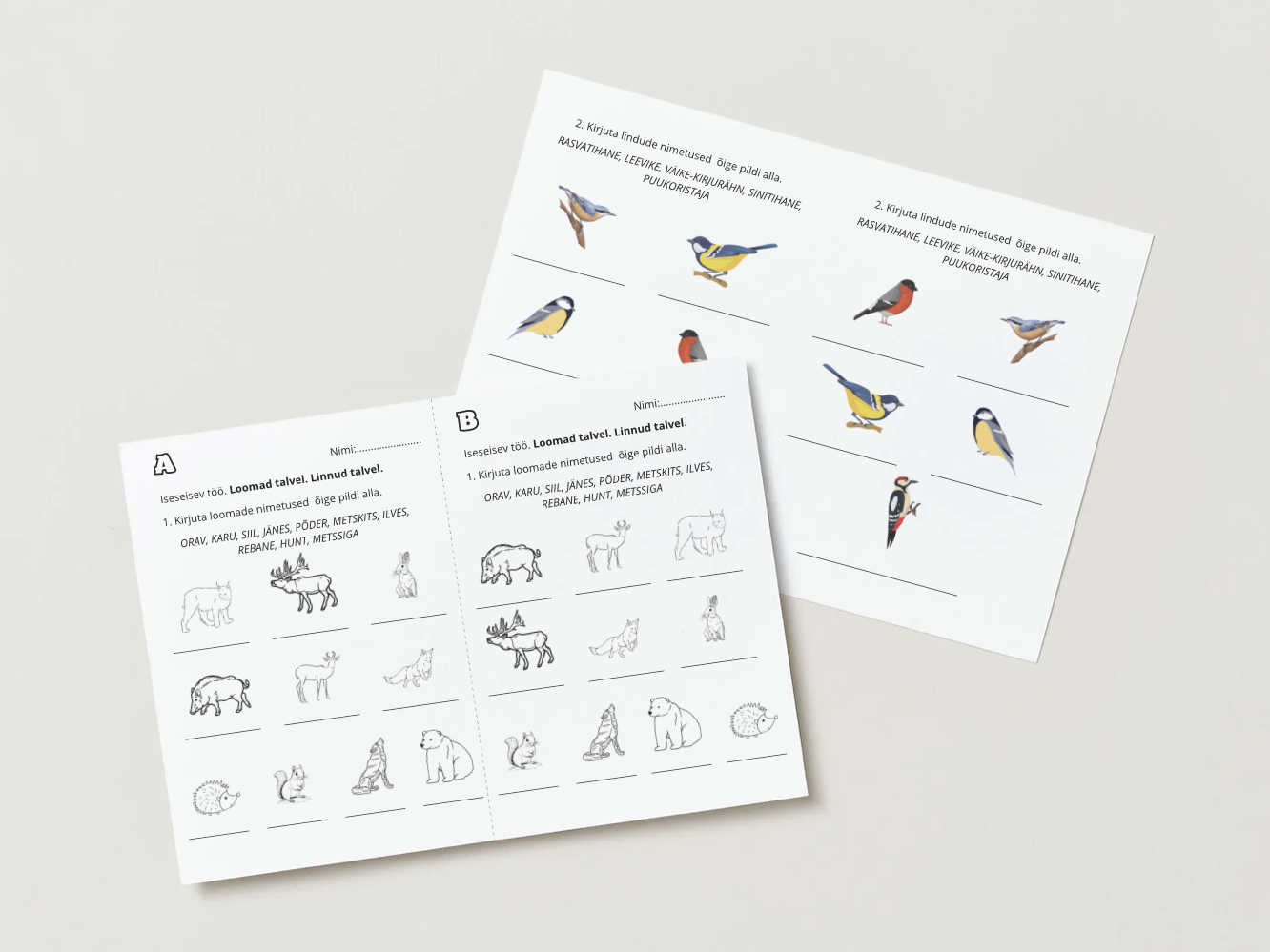 Metsloomad ja linnud talvel - TIFE